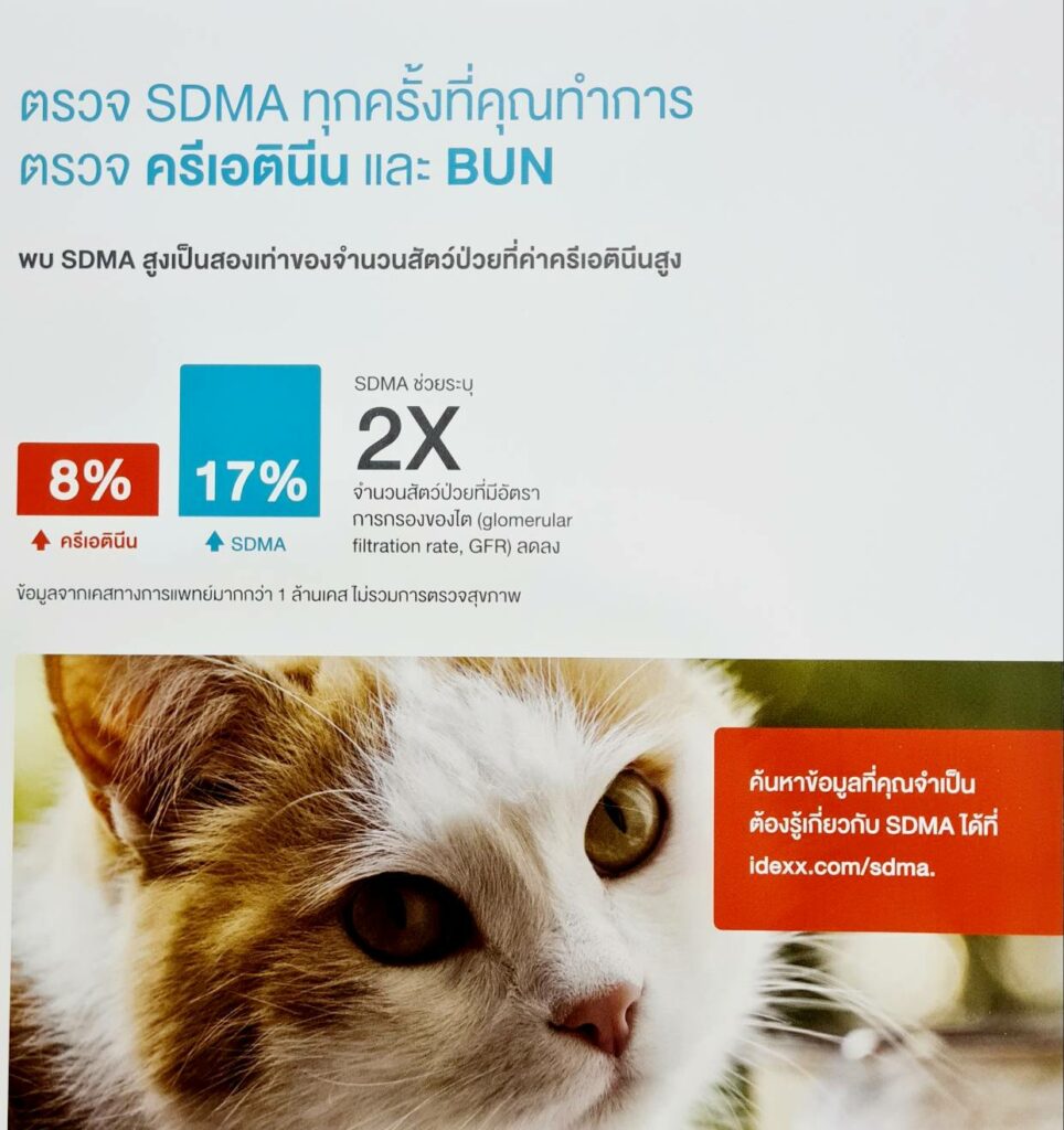 รู้ทันค่าไตเร็วขึ้น 2 เท่า ด้วย SDMA by IDEXX - ศูนย์สุขภาพสัตว์รังสิต ...